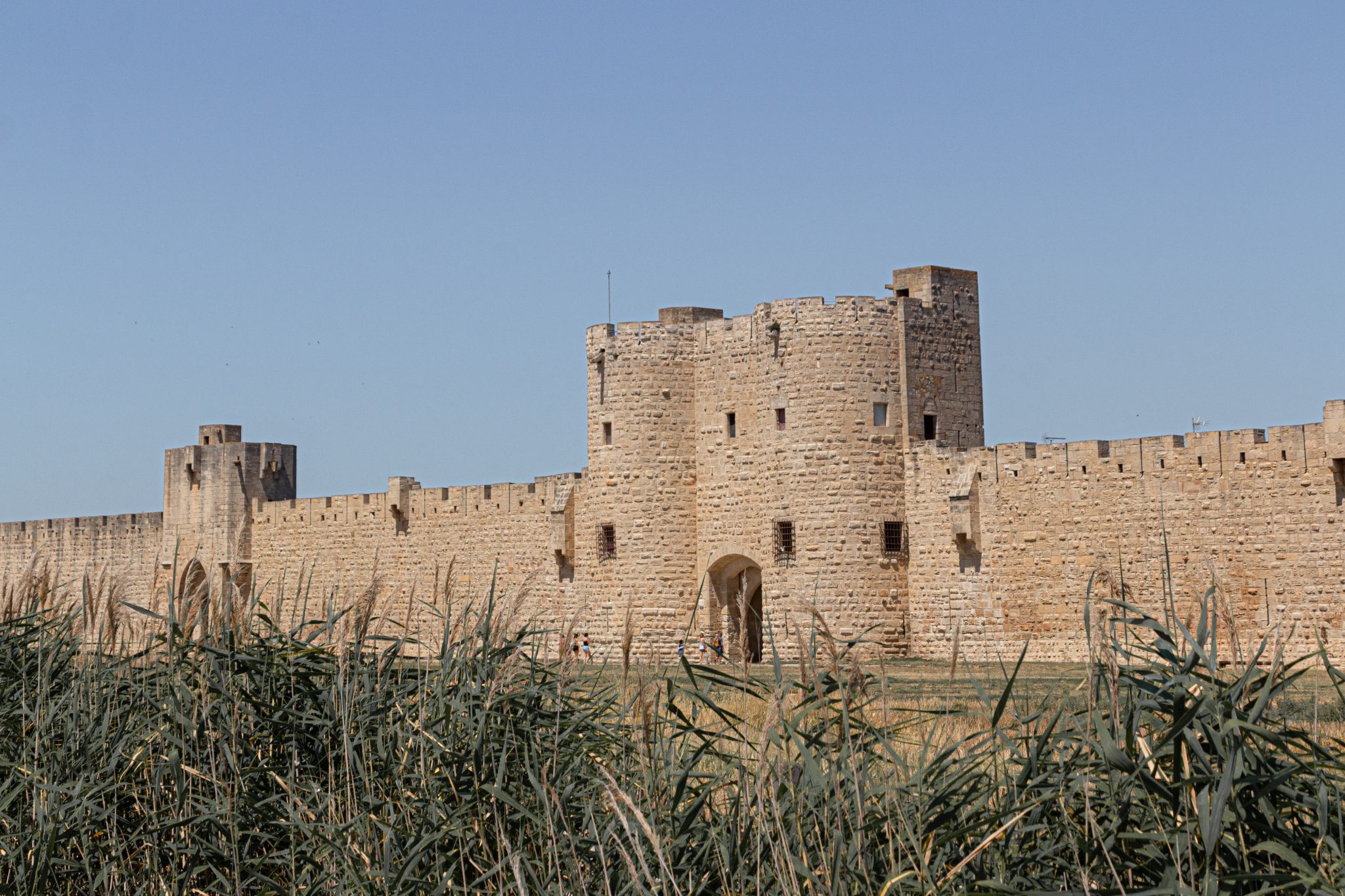 Must Do's during a Weekend in The Camargue - HappyTravelSpots