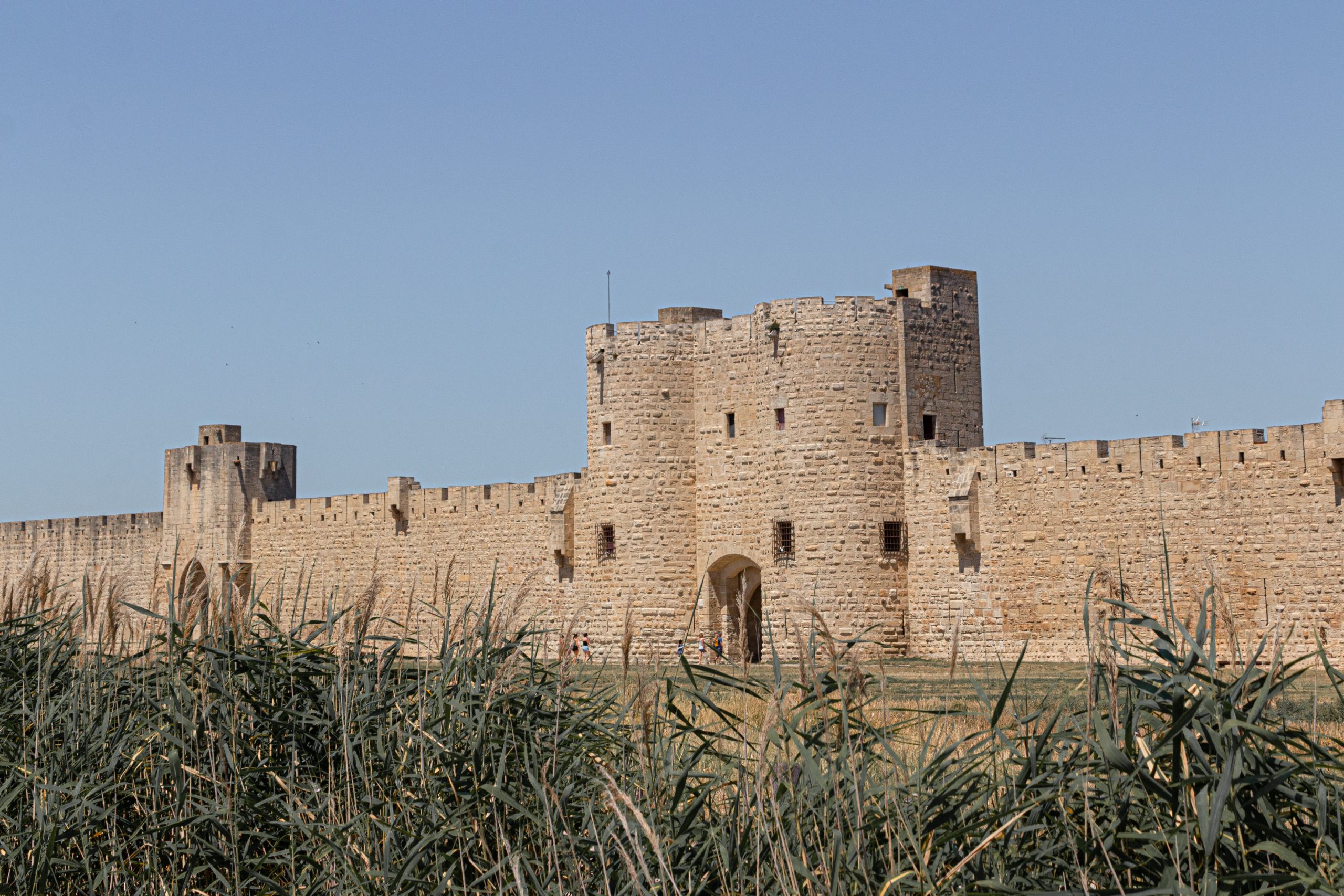 Must Do's during a Weekend in The Camargue - HappyTravelSpots