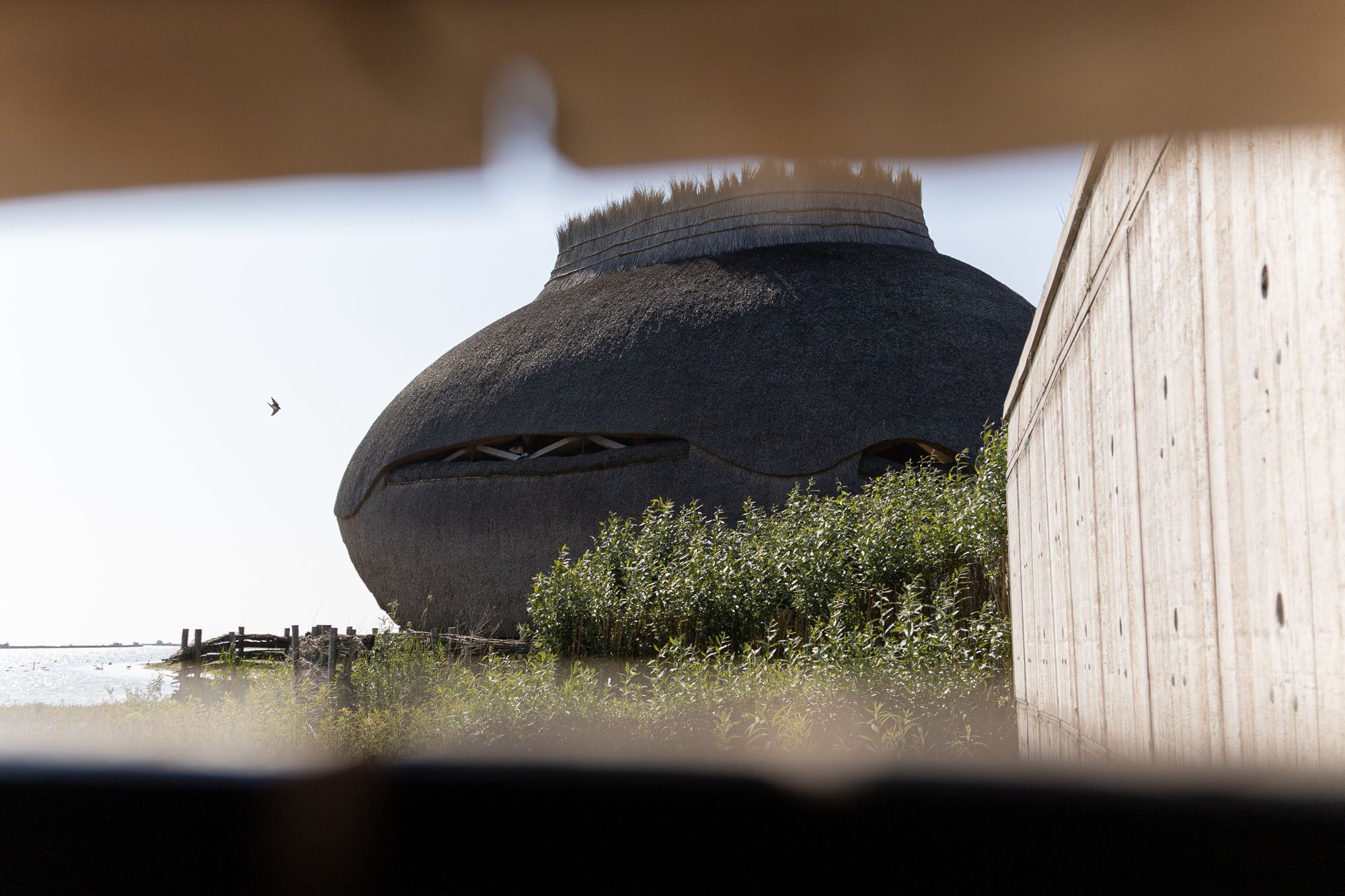 Bird Watching from the Special Bird Observatory Tij - HappyTravelSpots