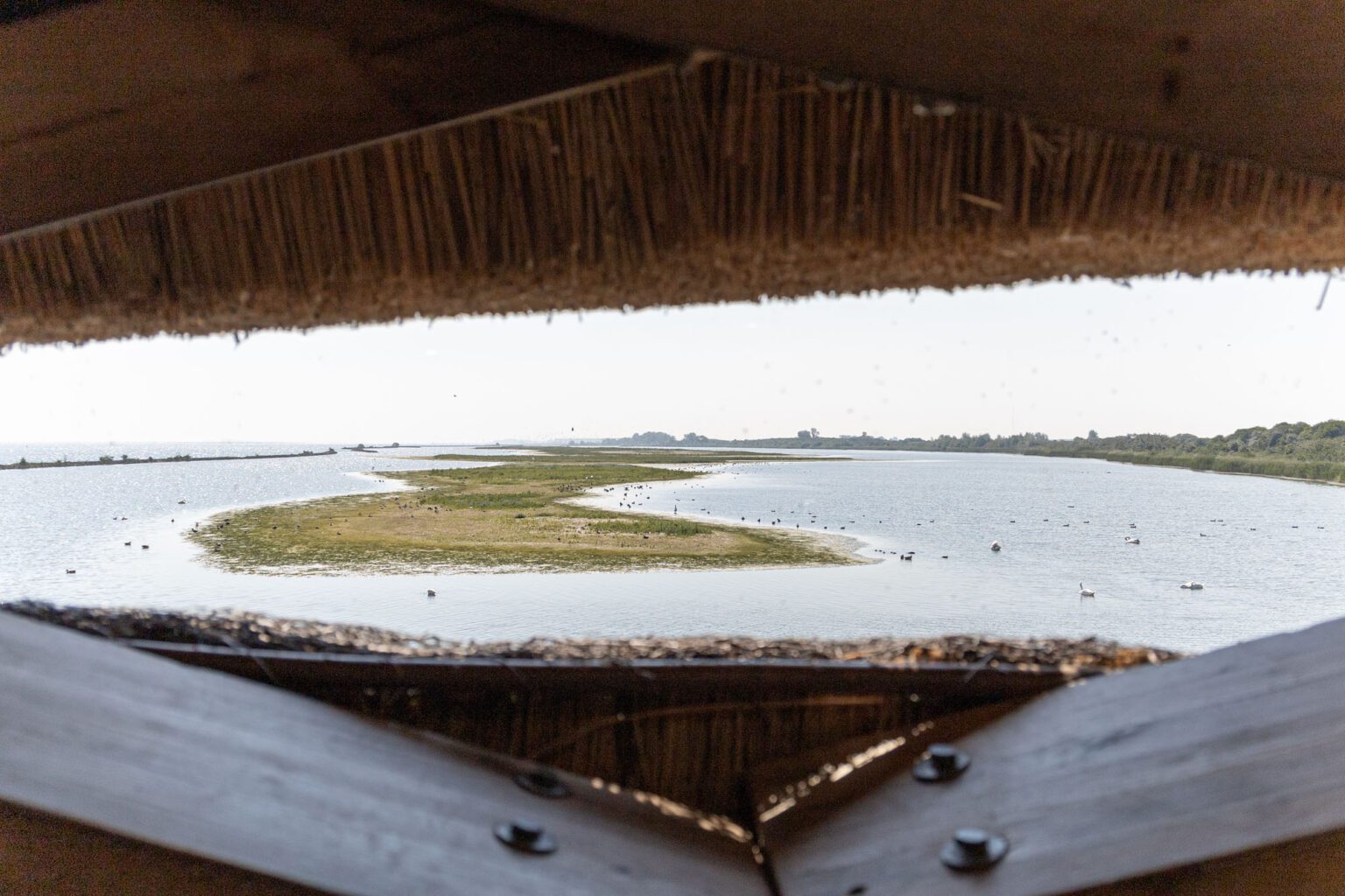 Bird Watching from the Special Bird Observatory Tij - HappyTravelSpots