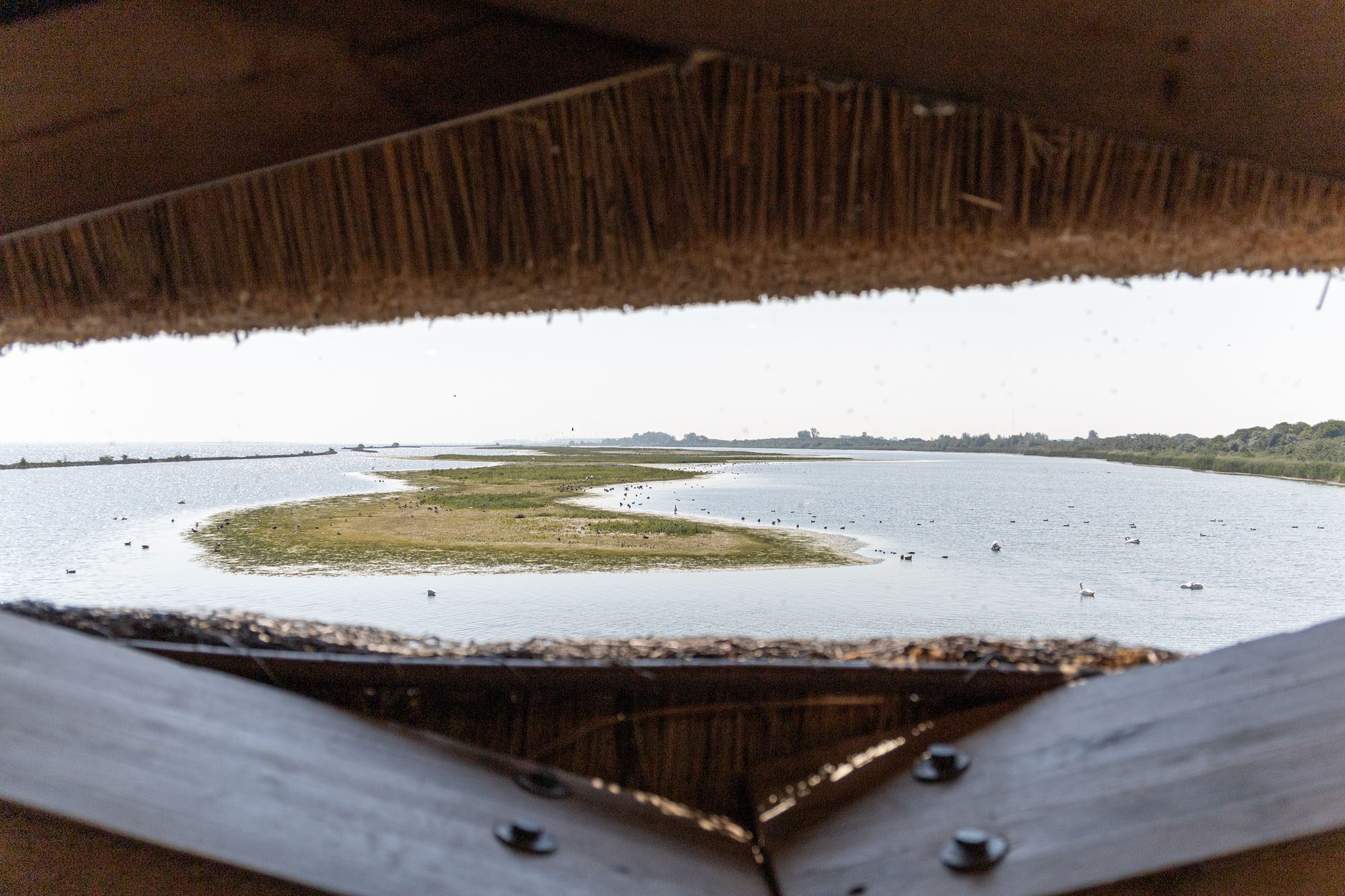 Bird Watching from the Special Bird Observatory Tij - HappyTravelSpots