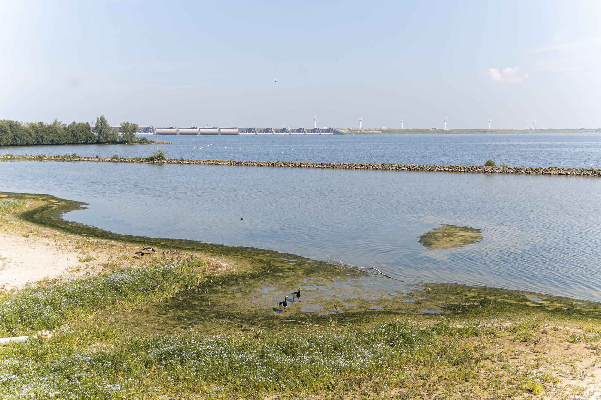 Bird Watching from the Special Bird Observatory Tij - HappyTravelSpots