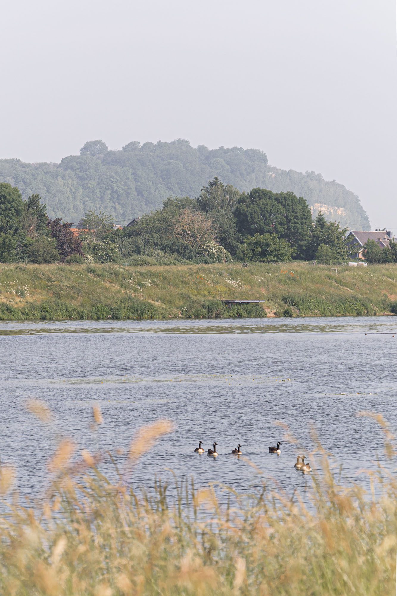 How to Spend 3 Days in South Limburg, The Netherlands