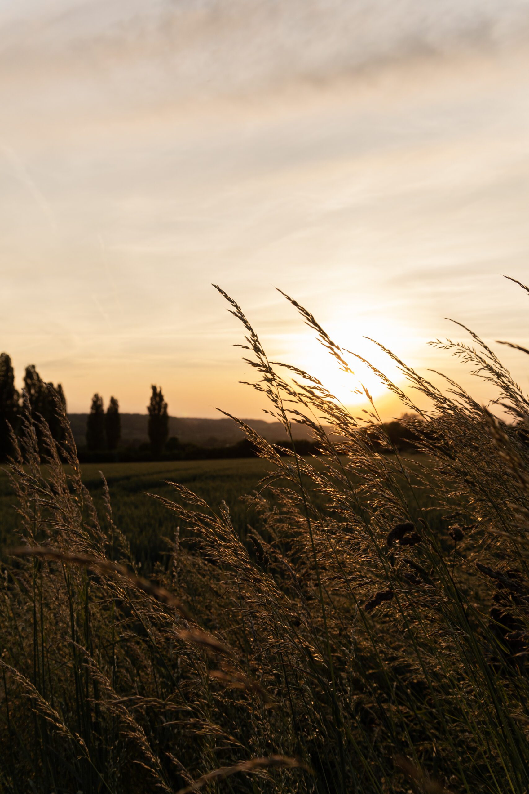 How to Spend 3 Days in South Limburg, The Netherlands