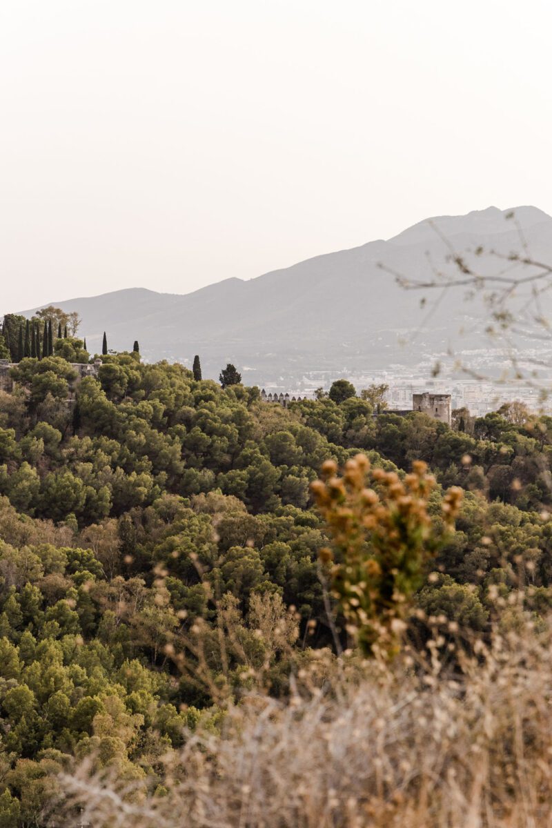 10 Best things to do & see in Málaga, Spain - HappyTravelSpots